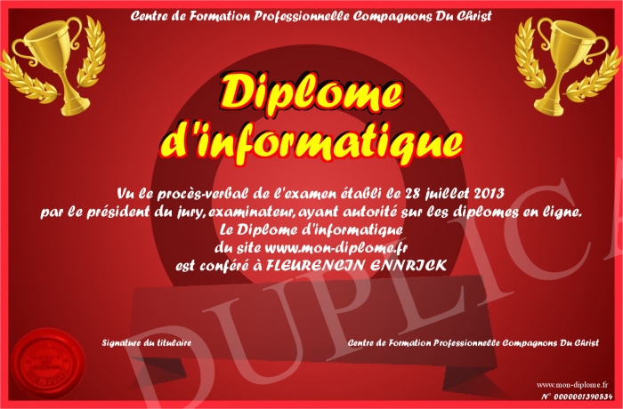 Diplome-d-informatique