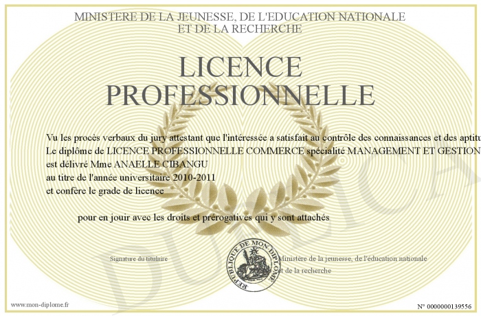 LICENCE-PROFESSIONNELLE
