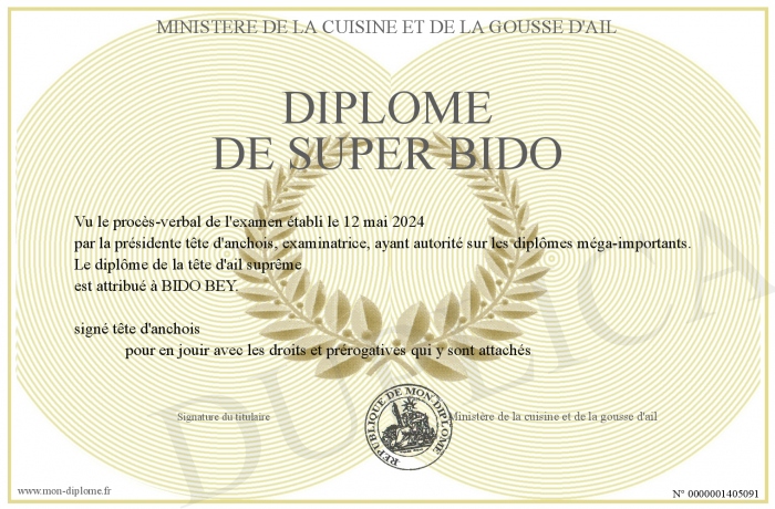 Diplome-de-super-BIDO