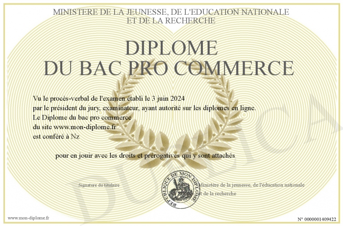 Diplome-du-bac-pro-commerce