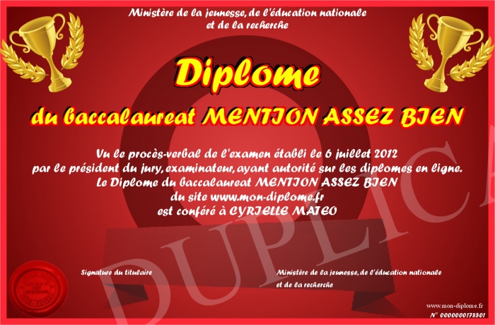 Diplome-du-baccalaureat-MENTION-ASSEZ-BIEN