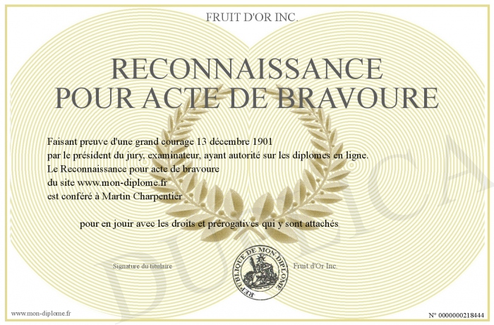 Reconnaissance-pour-acte-de-bravoure