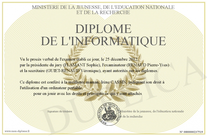 Diplome-de-l-informatique