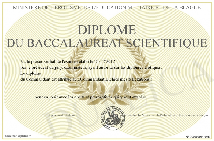 Diplome-du-baccalaureat-scientifique