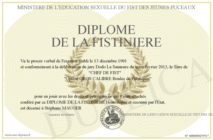 DIPLOME-DE-LA-FISTINIERE