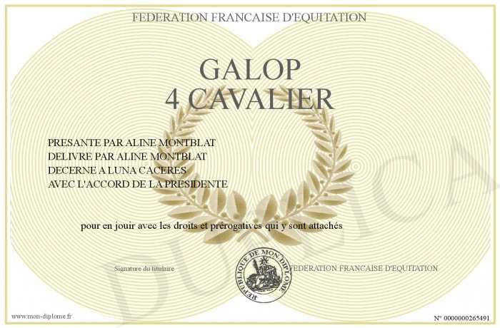 GALOP-4-CAVALIER