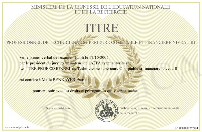 TITRE-PROFESSIONNEL-de-Technicienne-superieure-Comptable-et-financiere ...