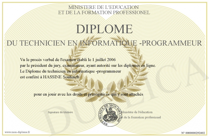 Diplome-du-technicien-en-informatique--programmeur