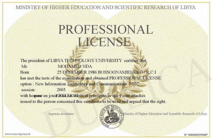 PROFESSIONAL-LICENSE