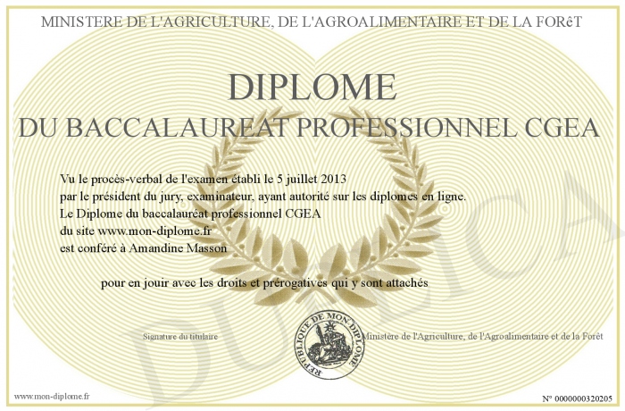 Diplome du baccalaureat professionnel CGEA