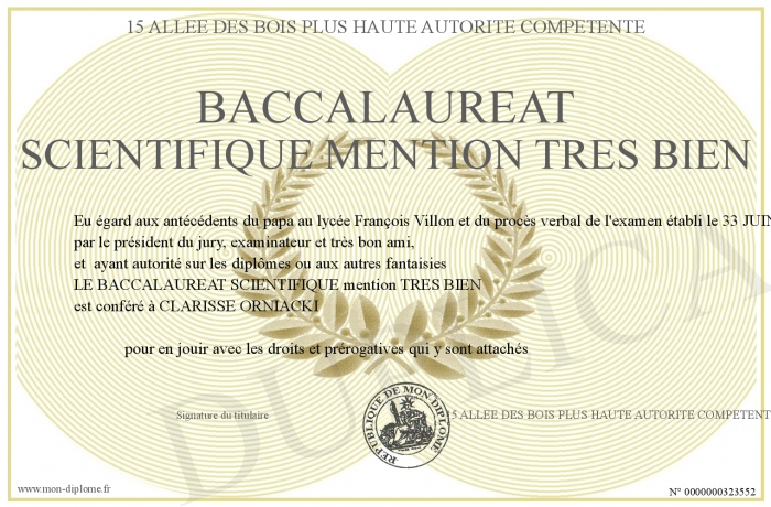 BACCALAUREAT-SCIENTIFIQUE-mention-TRES-BIEN