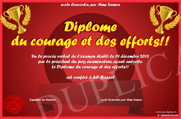 Diplome-du-courage-et-des-efforts!!