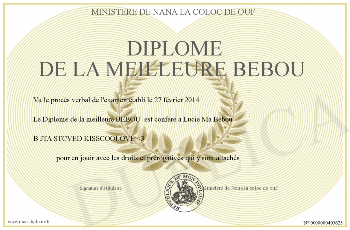 Diplome-de-la-meilleure-BEBOU