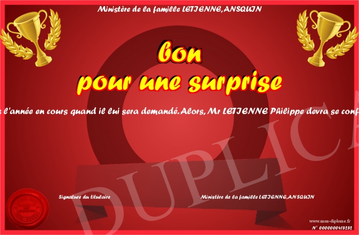 bon-pour-une-surprise