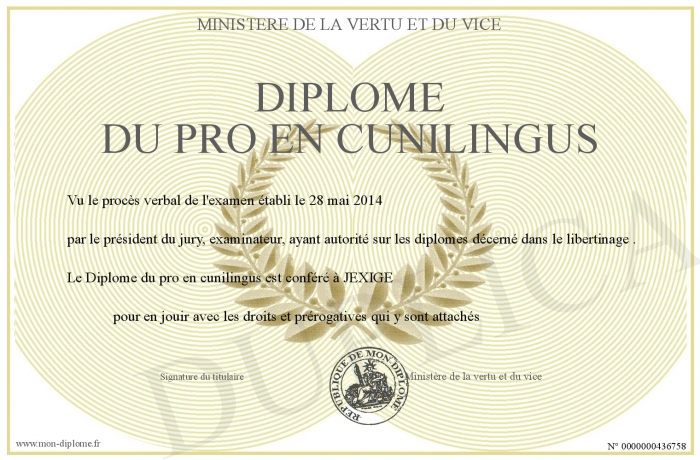 Diplome-du-pro-en-cunilingus