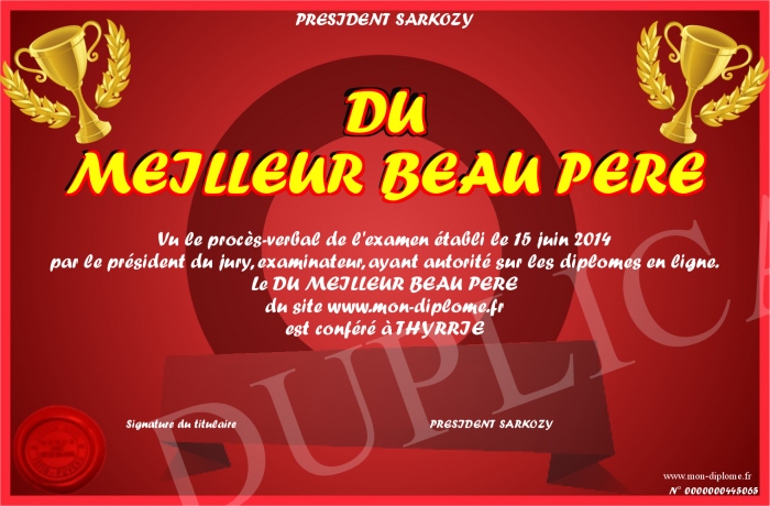 DU-MEILLEUR-BEAU-PERE