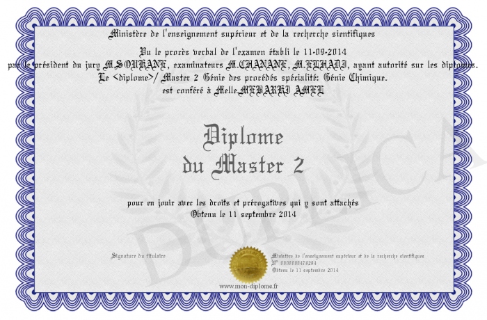 Diplome-du-Master-2