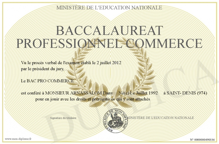 baccalaureat-professionnel-commerce