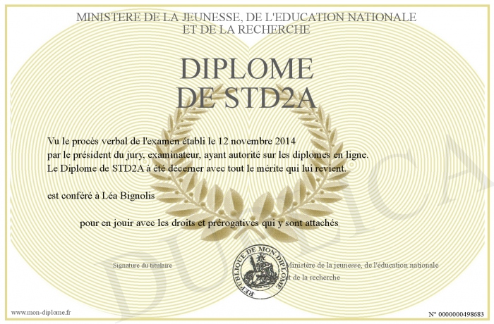 Diplome-de-STD2A