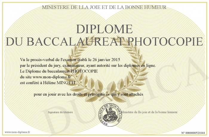 Diplome-du-baccalaureat-PHOTOCOPIE