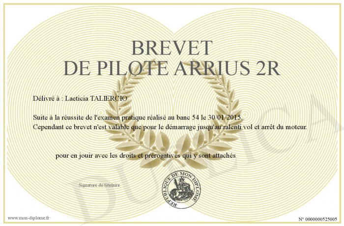 BREVET-de-pilote-ARRIUS-2R