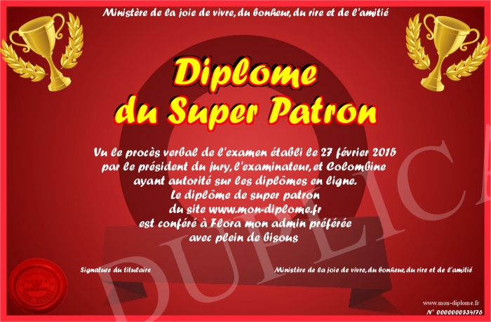 Diplome-du-Super-Patron
