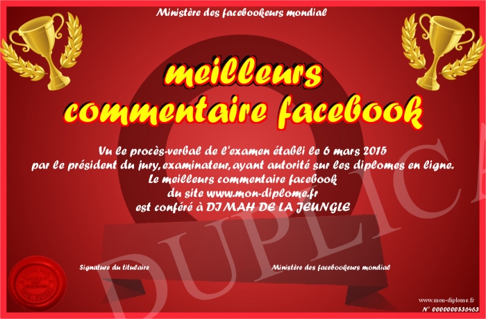meilleurs-commentaire-facebook
