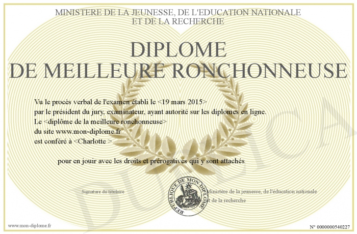 Diplome de meilleure ronchonneuse