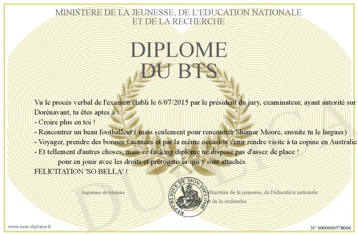 Diplome-du-BTS