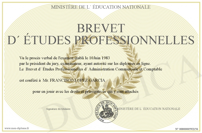BREVET-D´-ÉTUDES-PROFESSIONNELLES