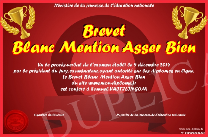 Brevet-Blanc-Mention-Asser-Bien