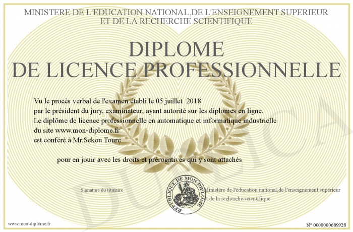 Diplome-de-licence-professionnelle