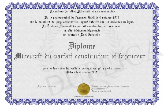 Diplome-Minecraft-du-parfait-constructeur-et-faconneur