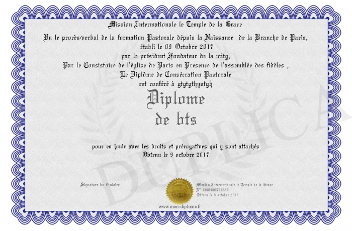 Diplome-de-bts