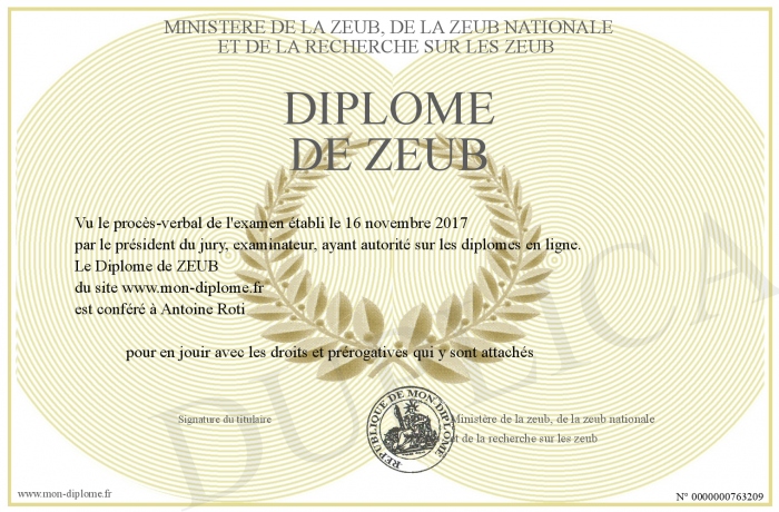Diplome-de-ZEUB