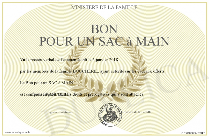 Bon-pour-un-SAC-a-MAIN