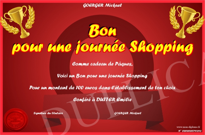 Bon-pour-une-journee-Shopping