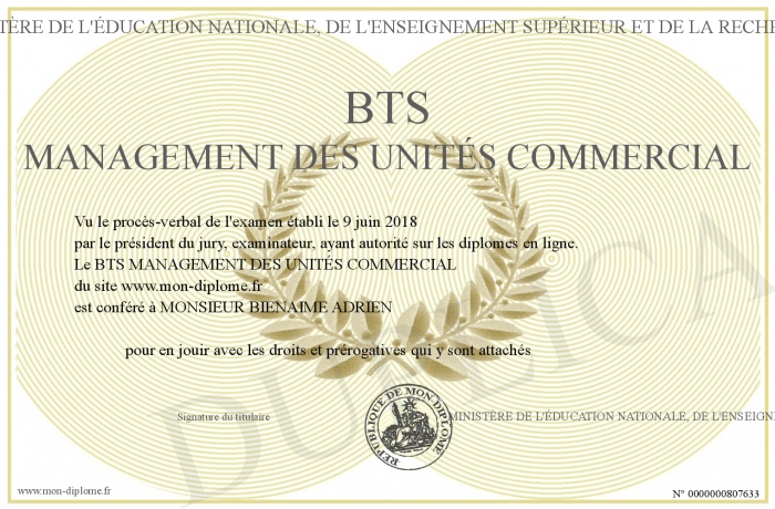 BTS-MANAGEMENT-DES-UNITÉS-COMMERCIAL