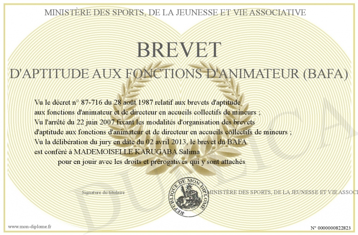 BREVET-D-APTITUDE-AUX-FONCTIONS-D-ANIMATEUR-(BAFA)