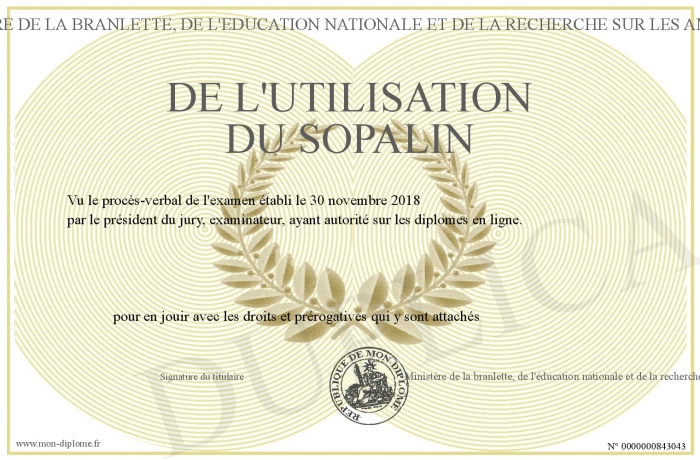 de-l-utilisation-du-Sopalin