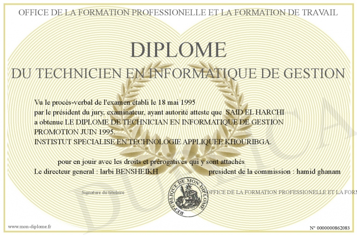 Diplome-du-technicien-en-informatique-de-gestion
