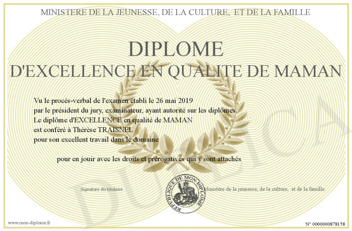 Diplome-d-EXCELLENCE-en-qualite-de-MAMAN