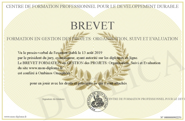 BREVET-FORMATION-en-GESTION-des-PROJETS:-Organisation--Suivi-et-Evaluation