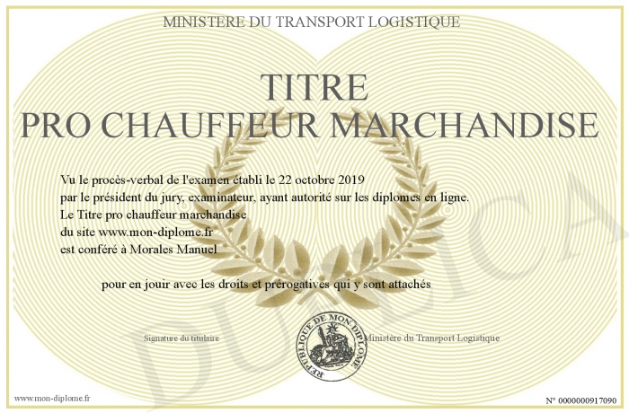 Titre-pro-chauffeur-marchandise