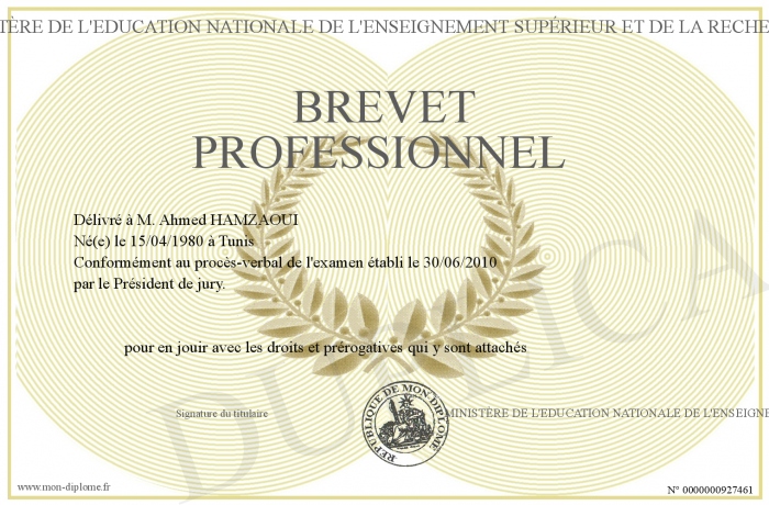BREVET-PROFESSIONNEL