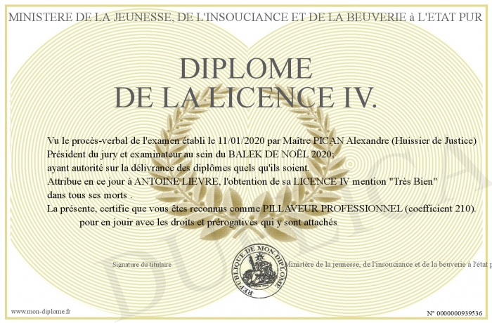 Diplome-de-la-LICENCE-IV.