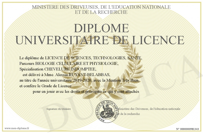 Diplome-Universitaire-de-Licence