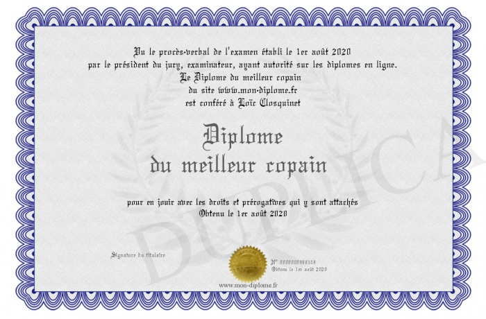 Diplome du meilleur copain