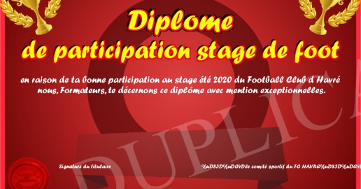 Diplome de participation stage de foot
