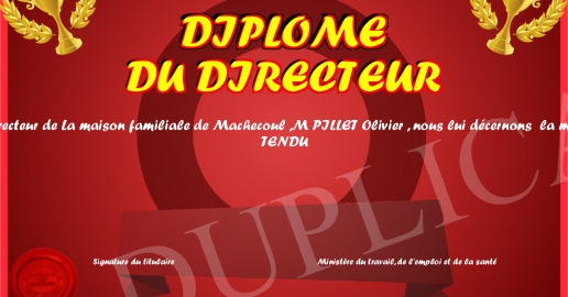 DIPLOME DU DIRECTEUR